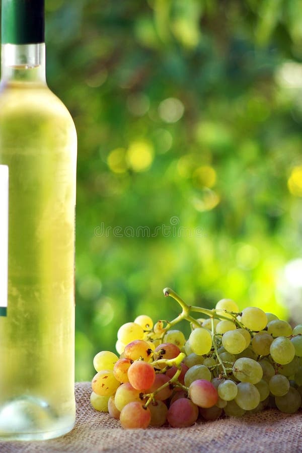 Bottle of Wine and Grappes. Stock Photo - Image of grape, branch: 11057682
