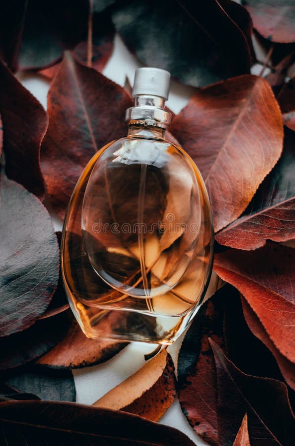 A Bottle of Women S Perfume on Red Leaves. Perfume on a Background of ...