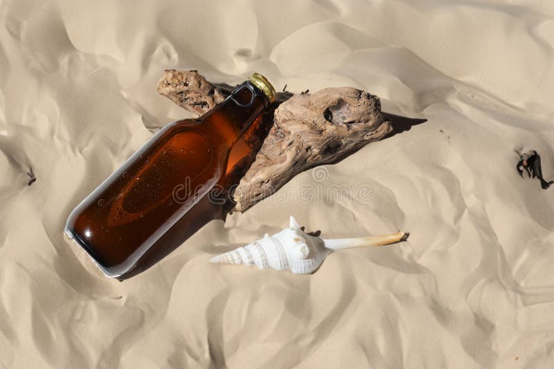 Bottled Beer on the Sand with a Shell,top View Stock Image - Image of ...