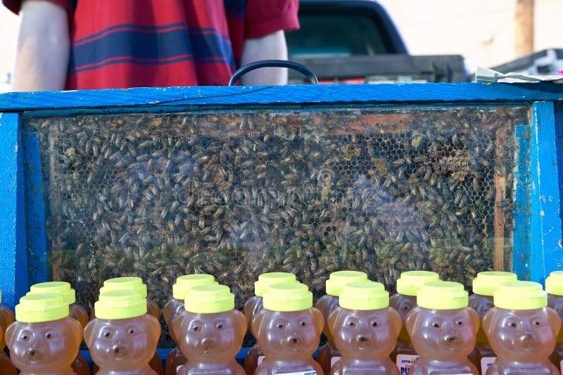 Bee Hive Display in an Orchard Stock Image - Image of keepers, orchard ...