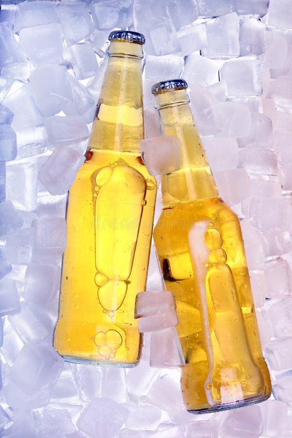 Bottles of Beer in Cooler Box with Ice Stock Photo - Image of cold ...