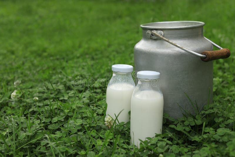 Bottles and Can with Fresh Milk on Green Grass Outdoors. Space for Text ...