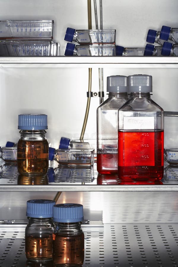 Bottles In Metal Container In Laboratory Stock Photo - Image of ...