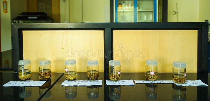 Bottles with Insects in Biological Insects Testing Lab in Karnataka ...