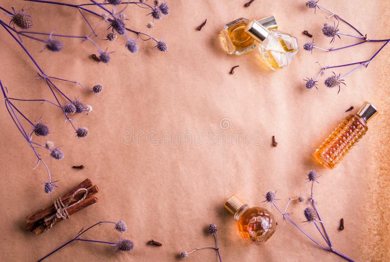 Bottles of Perfume with Ingredients Stock Photo - Image of herbal ...