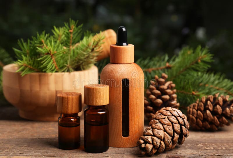 Bottles of Pine Essential Oil, Conifer Tree Branches and Cones on ...