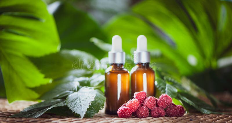 Bottles with Raspberry Oil, Fresh Berries and Raspberry Leaves O Stock ...