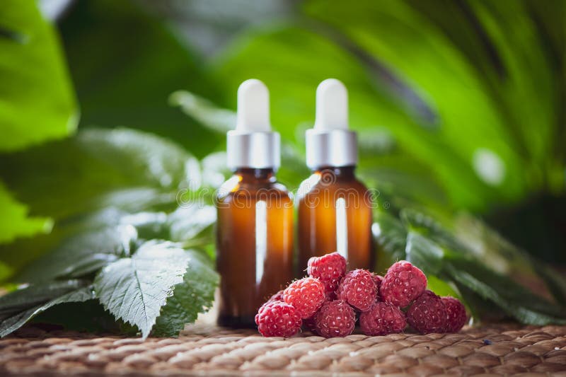 Bottles with Raspberry Oil, Fresh Berries and Raspberry Leaves O Stock ...