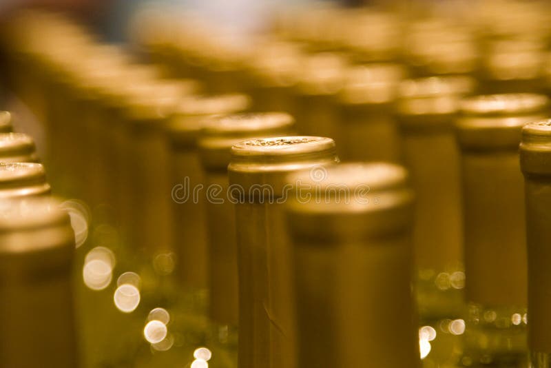 Bottles of wine stock image. Image of dining, atmosphere - 10434325