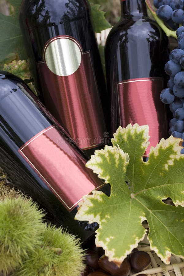 Bottles of wine stock photo. Image of vertical, wine - 13581544