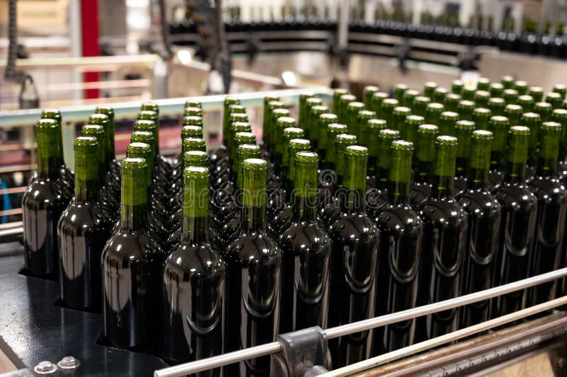 Bottling Process of Red Rioja Wine on Modern Winery, Wine Making in La ...