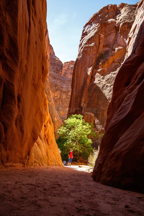 At the Bottom of a Canyon in Moab Editorial Image - Image of climb ...