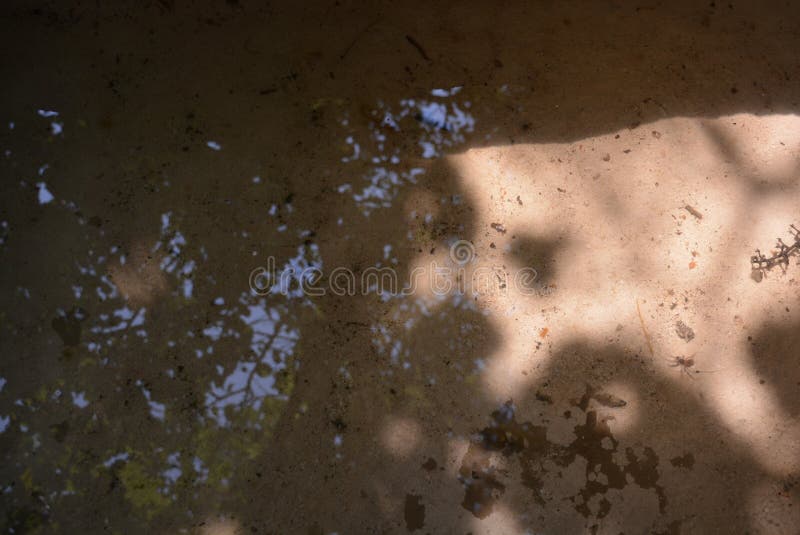 Bottom of the Cement Trough, the Baths with Standing Water in the ...