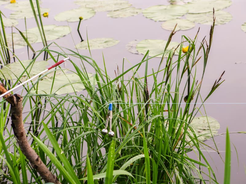 Bottom Fishing Tackle with Bells on the Shore of the Lake. Stock Photo ...
