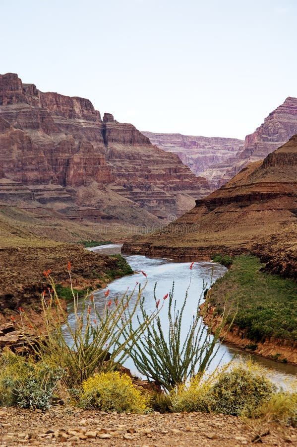 Bottom Of Grand Canyon Scene Stock Image - Image of hiking, extreme ...