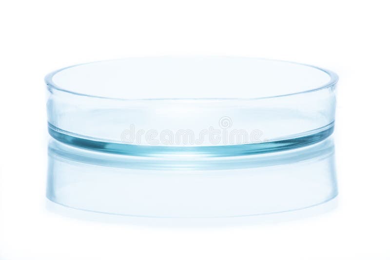 Bottom half of woman stock image. Image of bottom, beauty - 50443425