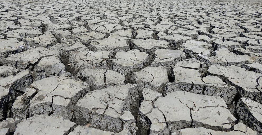 Sever drought stock image. Image of pieces, drought - 126546367