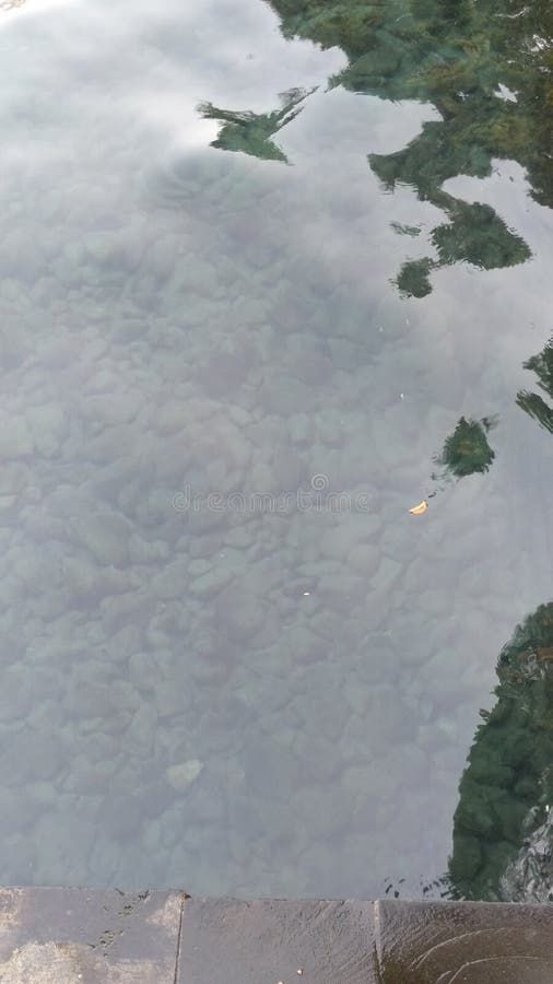 The Bottom of the Pool is Clearly Visible because the Pool Water is ...