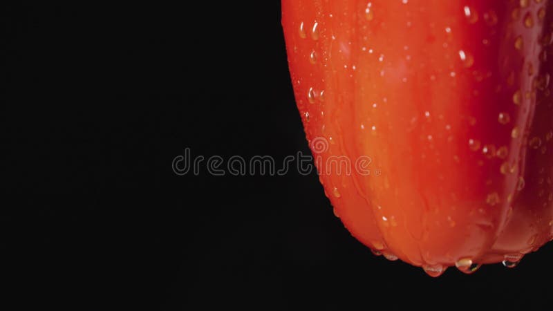 Bottom of Red Bell Pepper with Dripping Water Drops on Black Studio ...