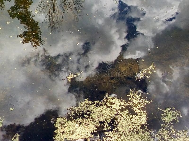 The Bottom of the Reservoir, the Water Surface and the Reflection of ...