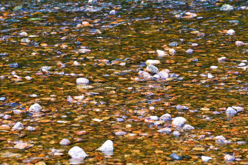 Bottom of the river stock photo. Image of coastline - 188725918