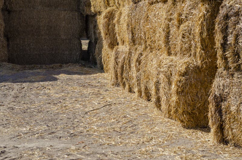 Bottom of a Stack of Rectangular Dry Hay Bales Stock Photo - Image of ...