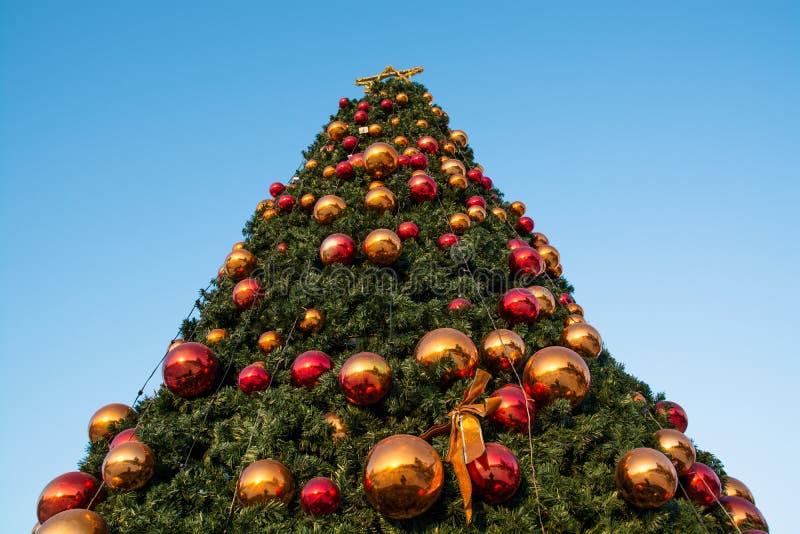 From the Bottom Up View on the Christmas Tree. Stock Photo - Image of ...