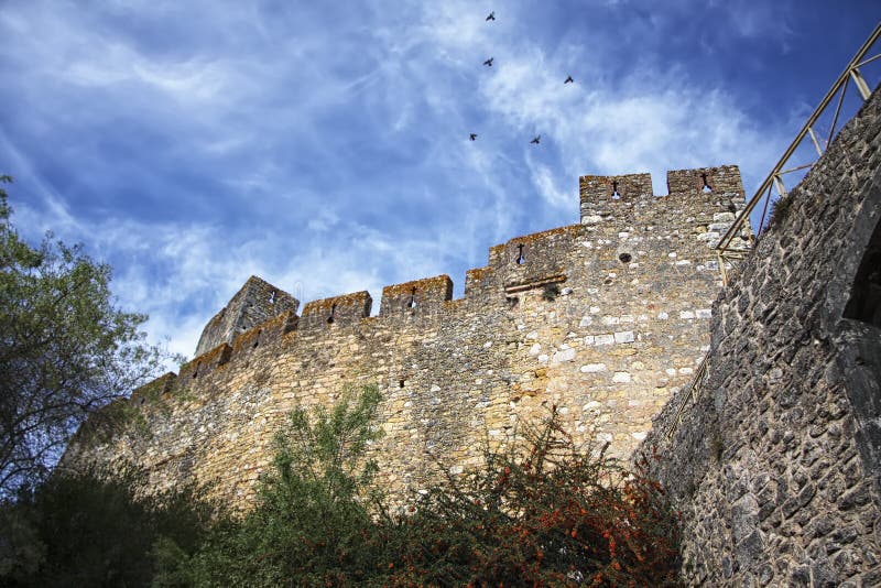Bottom-up View To the Medieval Castle Wall and Birds Flying in T Stock ...