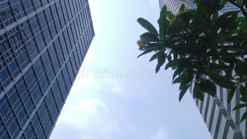 Parallel buildings stock photo. Image of provide, decrease - 5955422