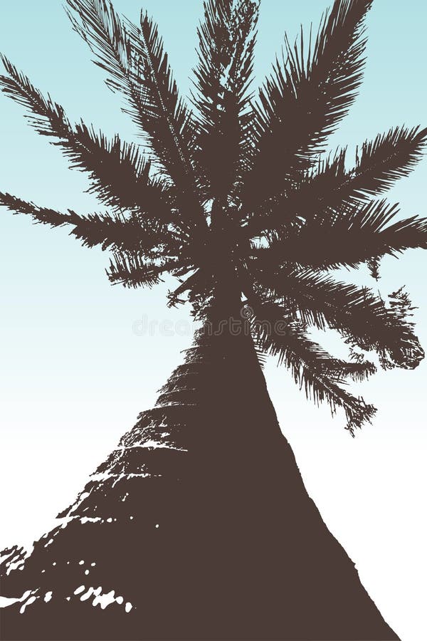 Bottom-up View of a Vector Palm Tree with Blue Sky Stock Vector ...