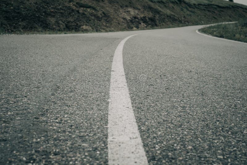 Solid White Siberian on Black Background Stock Photo - Image of pink ...