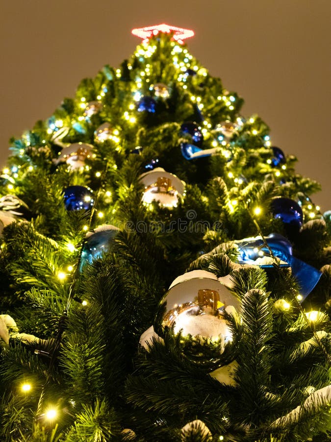 Bottom View of Decorated Christmas Tree Outdoors Stock Photo - Image of ...