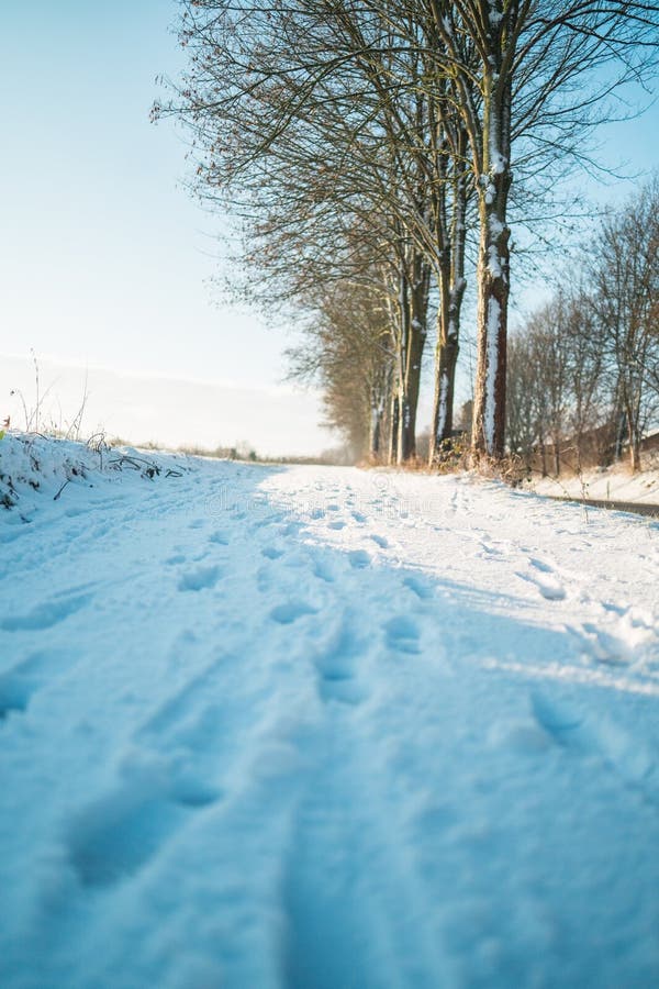 Bottom View of Footprints in the Snow Cover Stock Photo - Image of ...