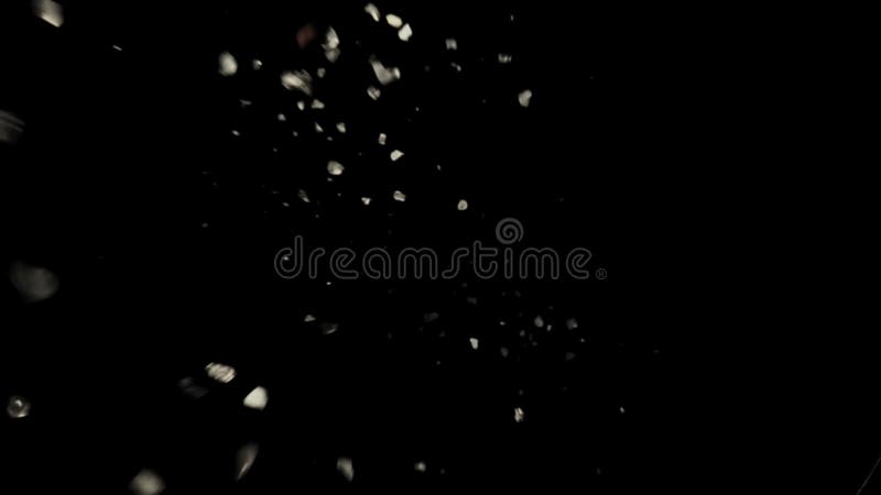 Bottom View Isolated Slow Motion Macro Shooting Capturing Lots of ...