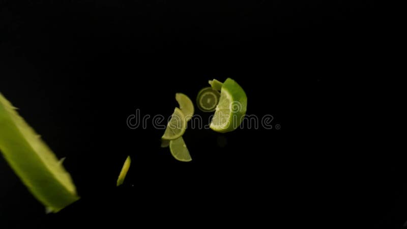 Bottom View Isolated Slow Motion Macro Shooting Capturing Lots of Green ...