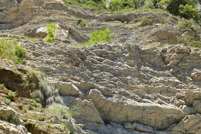 Untouched Ecosystem stock image. Image of green, hdrvivi - 165174207