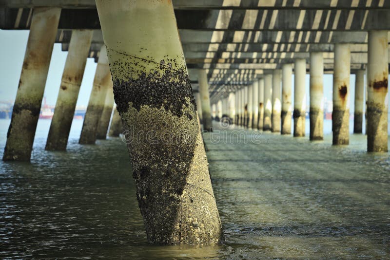 From Bottom View the Shell Jetty at Port Dickson Stock Photo - Image of ...