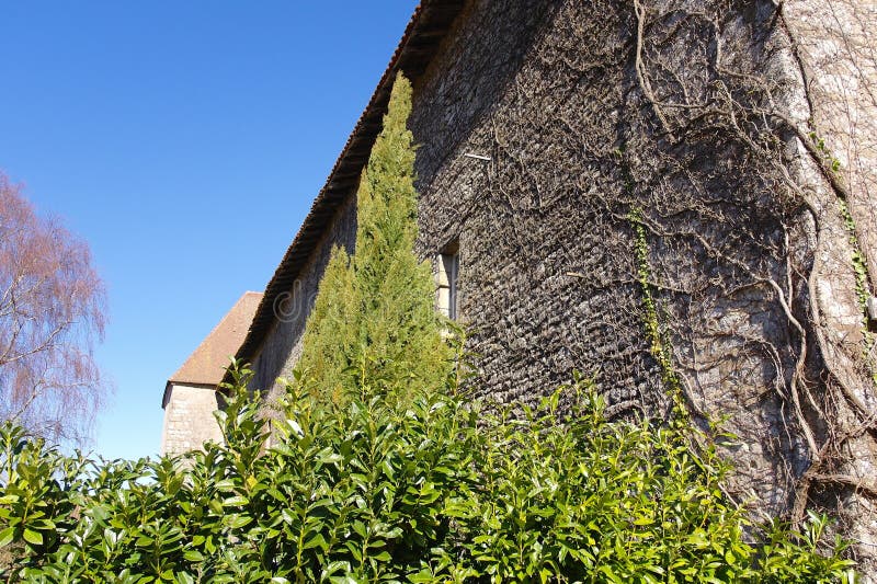 Bottom View Shot of the Building Stone Wall and Bushes Next To it Stock ...
