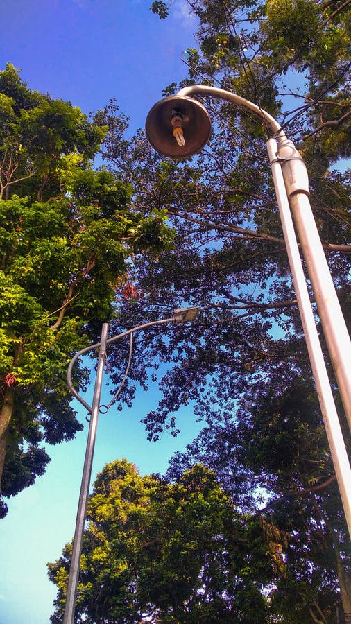 The Bottom View of the Sidewalk Night Lights that Stand Aesthetically ...