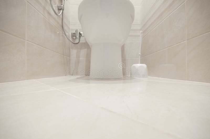 Bottom View on Toilet Bowl in Restroom Stock Photo - Image of restroom ...