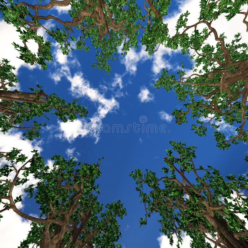 Bottom view of trees stock illustration. Illustration of angle - 94167095