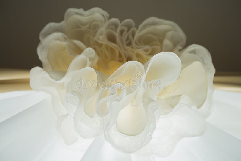 Bottom View of a White Wedding Dress. Stock Photo - Image of chin ...