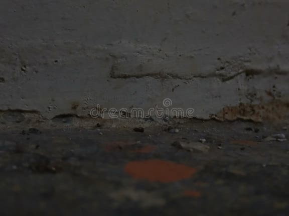 The Bottom Wall is White and a Little Black Stock Photo - Image of ...