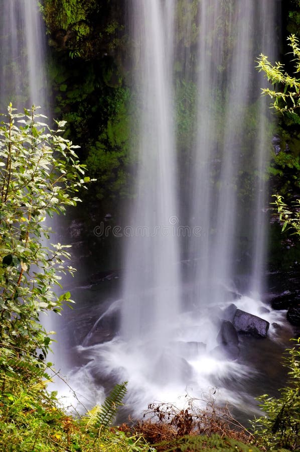 Bottom of waterfall stock image. Image of tree, water - 9688405