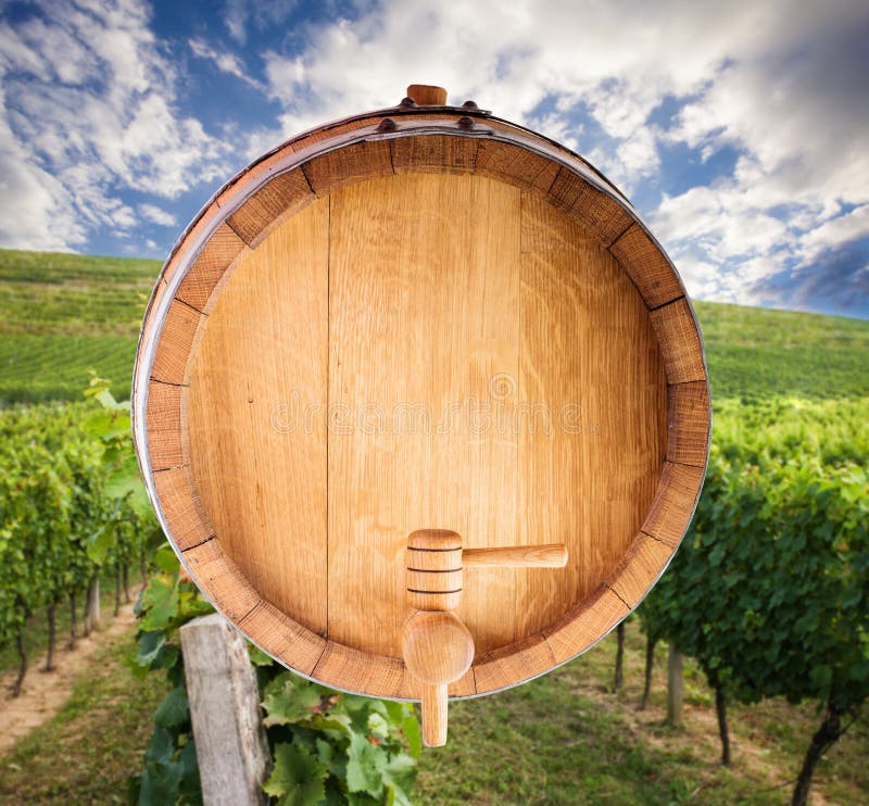 The Bottom of a Wine Barrel on a White Background Stock Image - Image ...