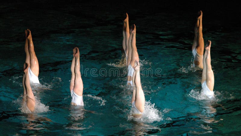 439 Girls Swim Team Photos - Free & Royalty-Free Stock Photos from ...