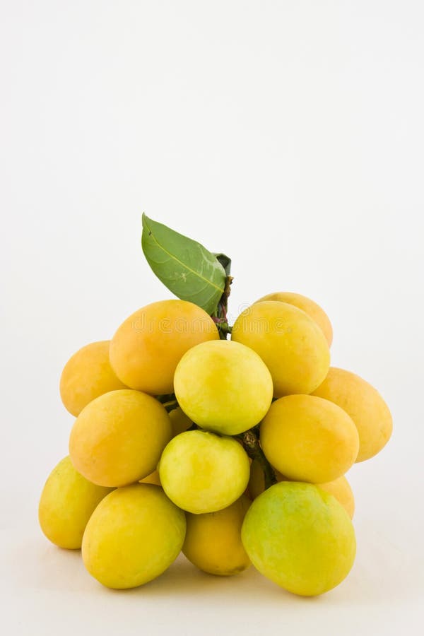 Bouea oppositifolia stock image. Image of grocery, place - 23743203