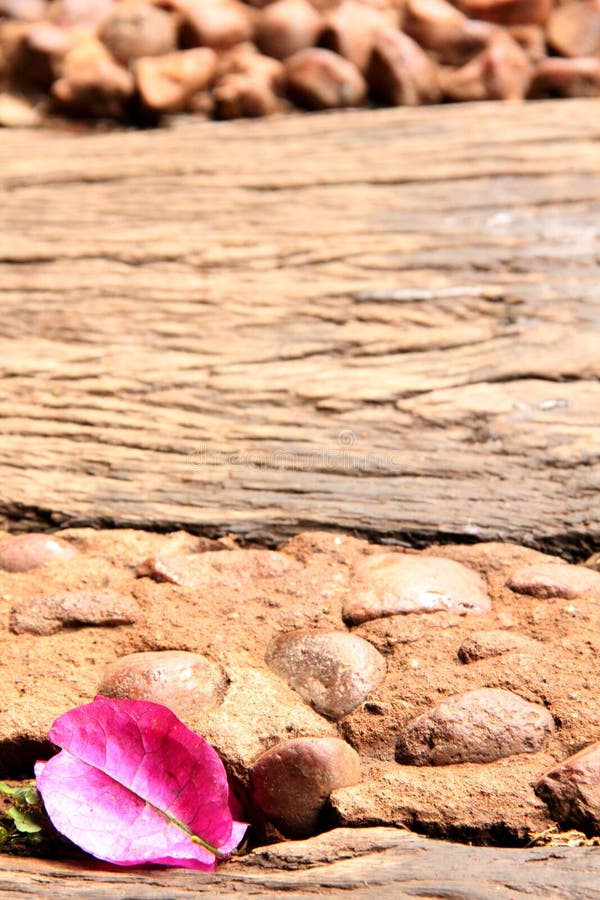 Bougainville Path stock photo. Image of sleeper, wood - 39676608