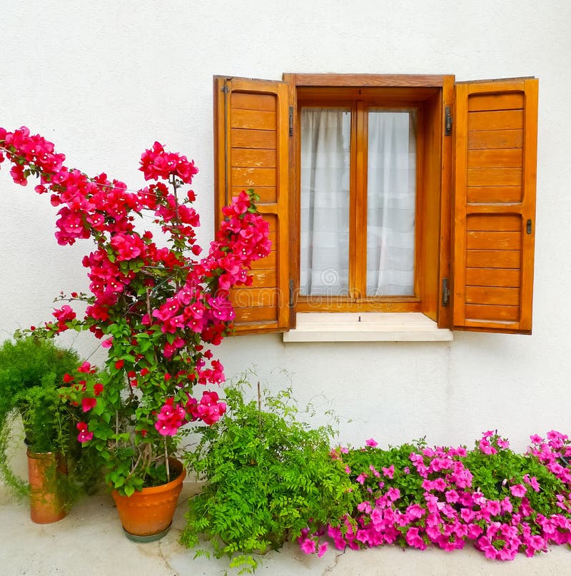 Ventanas Del Vintage Con Las Flores Frescas Imagen de archivo - Imagen ...