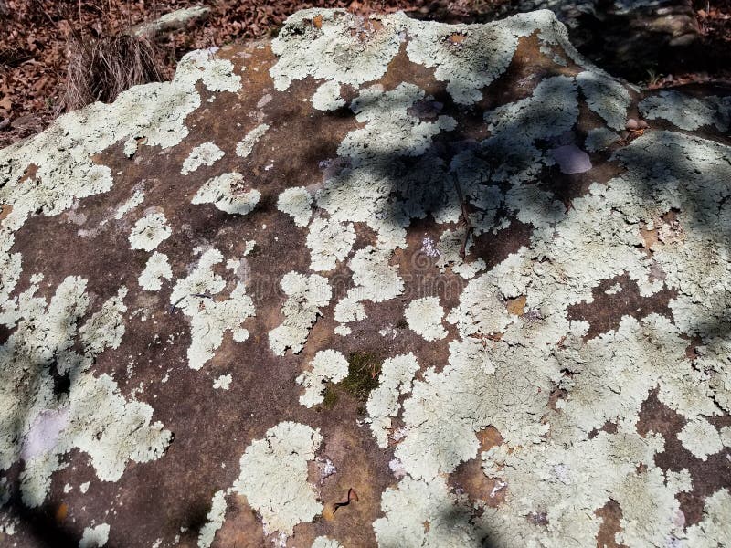 Moss covered Boulder stock image. Image of boulder, close - 132503185
